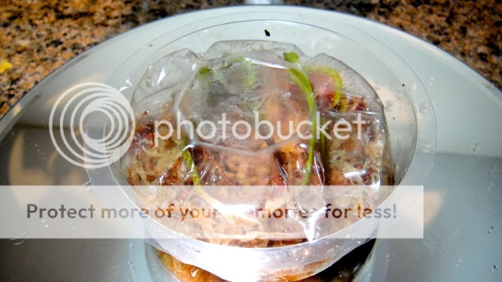 Leaf Pullings. Will this work? - FlyTrapCare Forums