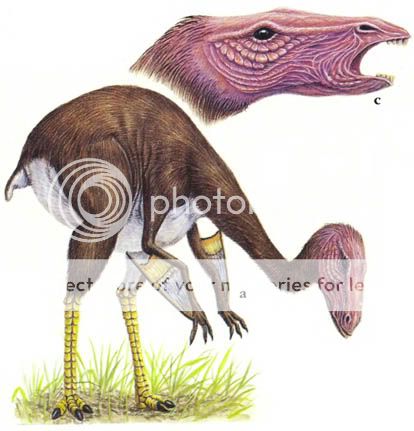 The Known World - Creatures: Pterosaurs - FIMFiction.net