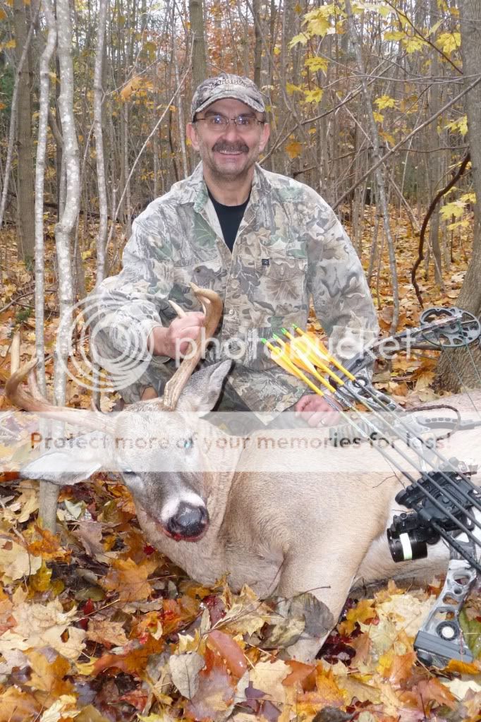 Ontario buck | Archery Talk Forum
