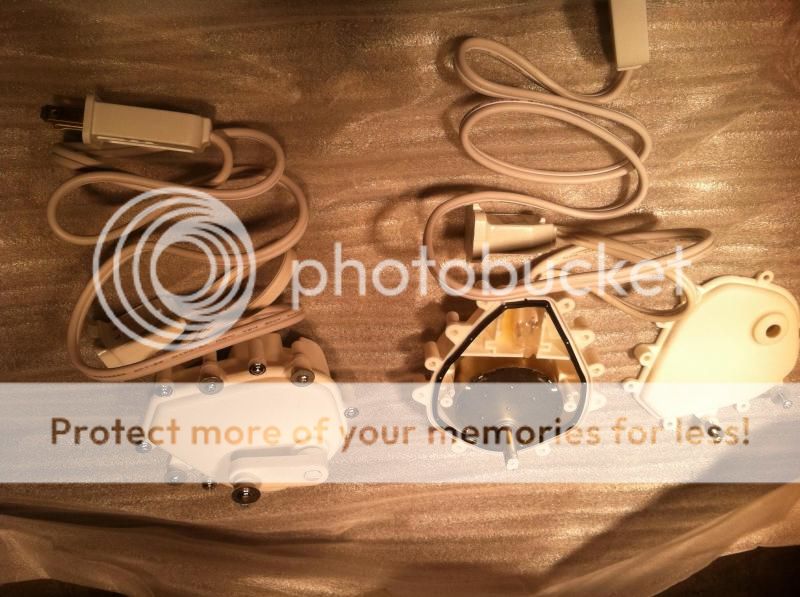 Kindy's Now Has Reindeer Motors | Halloween Forum