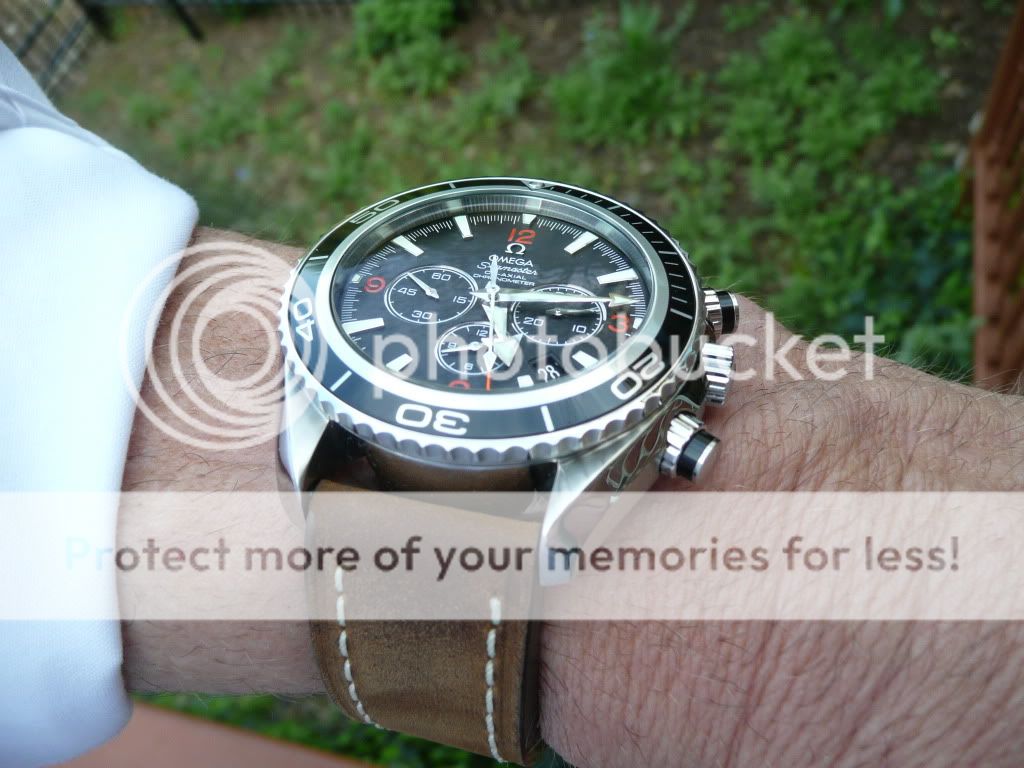 Planet Ocean Strap Options? Post your Pics! | WatchUSeek Watch Forums